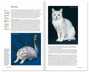 Katzen | Sammlung Ratgeber | Neuer Kaiser Verlag