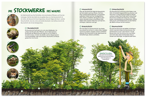Im Wald geht's rund Kinderbuch | Den Wald kennenlernen inkl. Poster