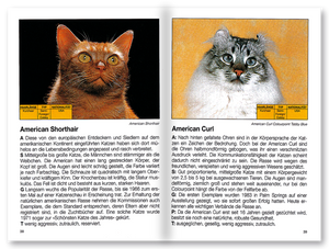 Mehr Freude mit ... Katzen | Natur Tiere bestimmen | Neuer Kaiser Verlag